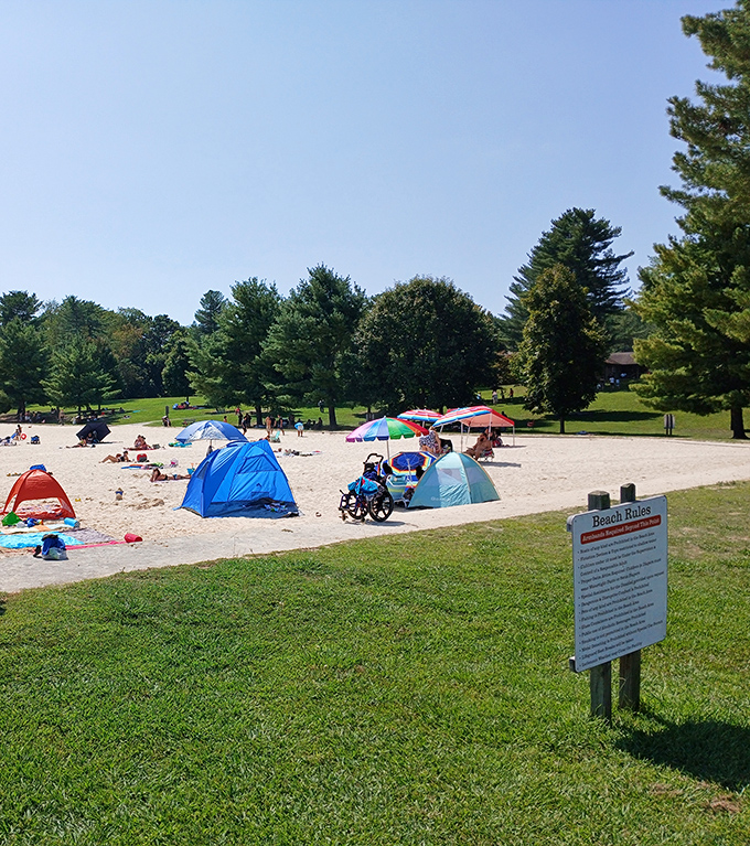 Beach day perfection: where sandcastles rise, umbrellas bloom, and everyone pretends not to notice when someone shakes out their towel.