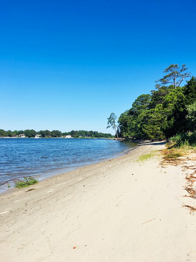 The park's secluded beach offers what luxury resorts can't buy&mdash;pristine shoreline without the soundtrack of someone else's vacation playlist. 