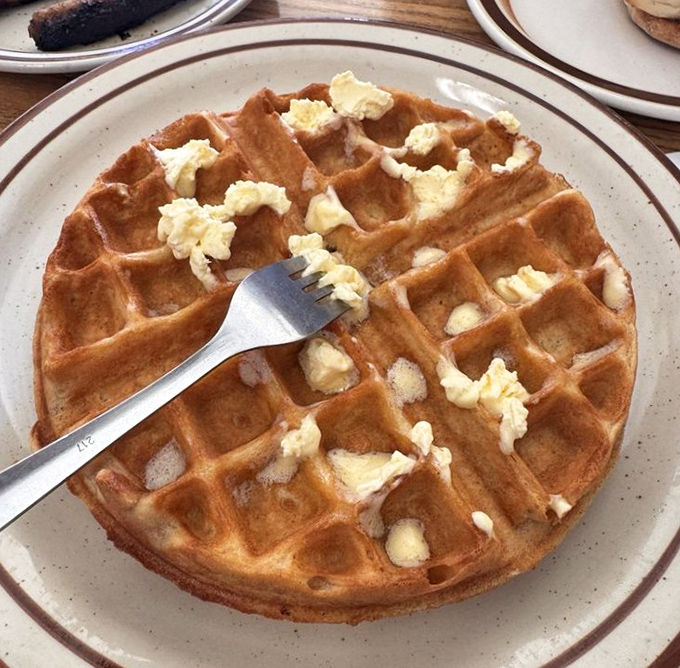 A waffle that's achieved the perfect balance of crispy exterior and fluffy interior – the breakfast equivalent of winning the lottery.