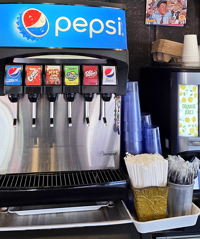The soda fountain offers all the classics, because what pairs better with perfect fried chicken than an ice-cold fountain drink?