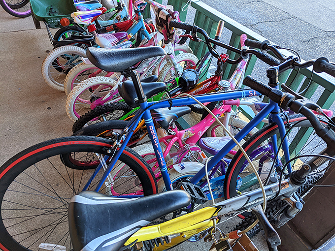 Bicycle graveyard or transportation opportunity? These wheels are ready to roll into their second, third, or fourth chapter.
