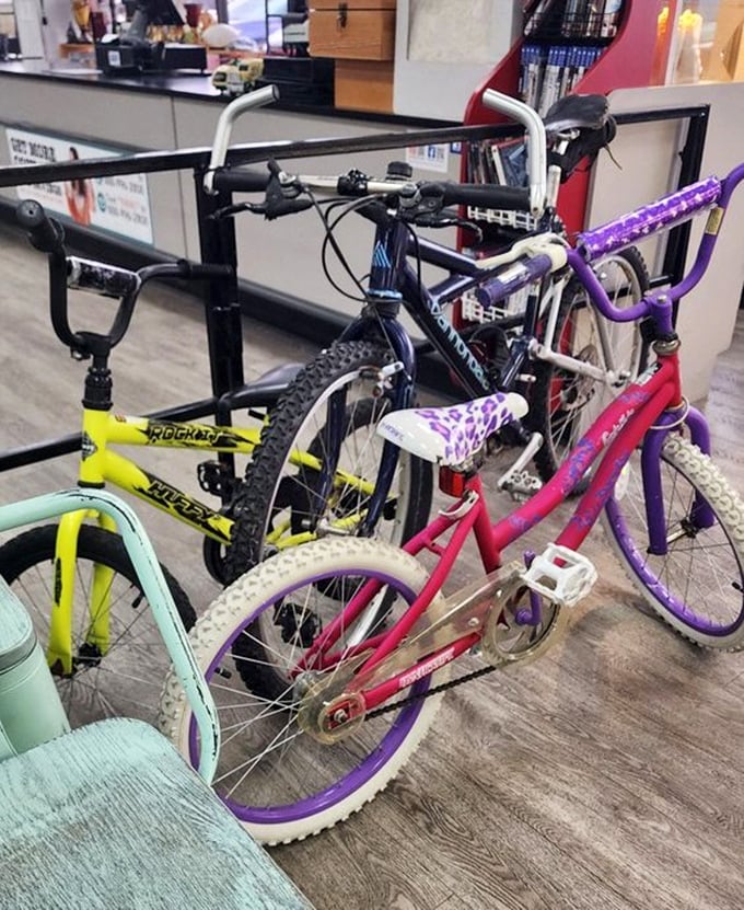 Bicycles in technicolor glory &ndash; from neon mountain bikes to princess-purple cruisers, all waiting for new adventures on Florida's flat terrain.