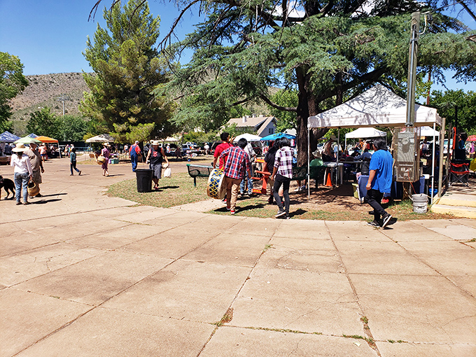 The Bisbee Community Market transforms a simple plaza into a vibrant social hub. Local produce, handcrafted goods, and the kind of conversations that make small towns magical. 