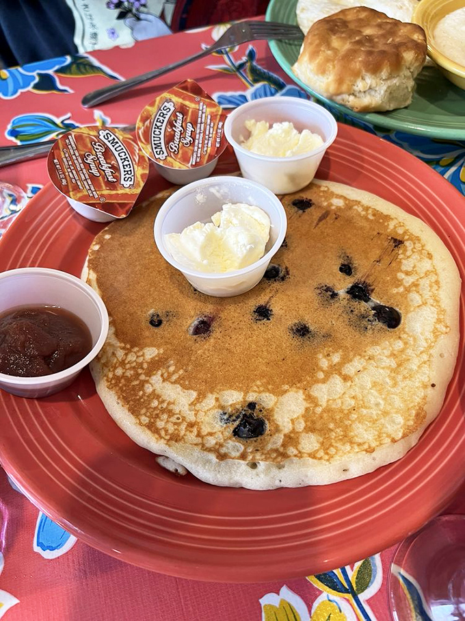 A blueberry pancake so perfectly golden, it makes you wonder if the griddle has special pancake-whispering powers.