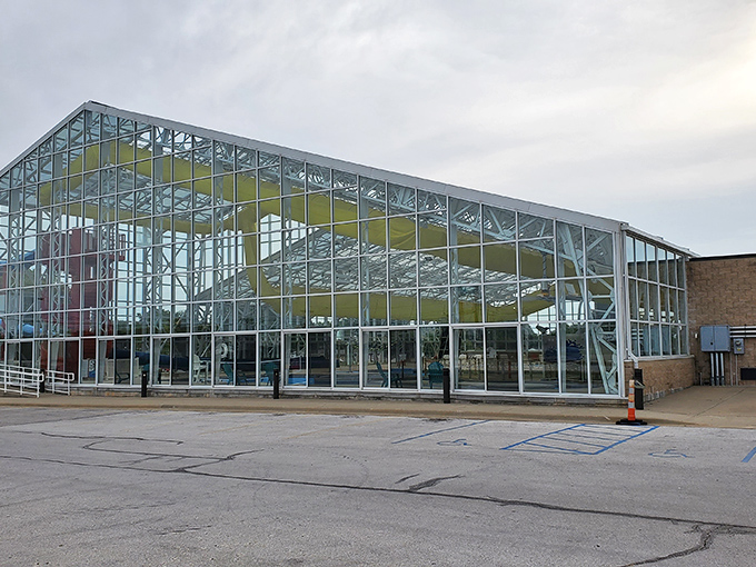 Modern aquatic facilities sparkle like community jewels, offering year-round fitness options that don't require expensive gym memberships.