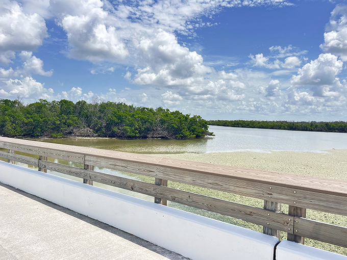 Where mangroves meet sandy shores &ndash; a delicate ecosystem that's been perfecting its balance act long before humans arrived with sunscreen and cameras.