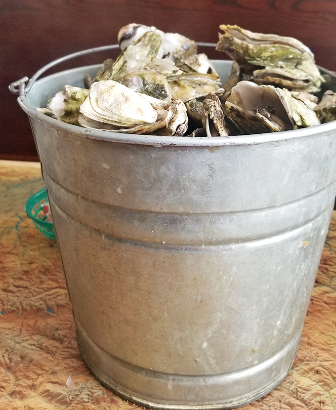 A bucket of oysters fresh from local waters. These briny beauties are the reason people use phrases like "taste of the sea" without irony.