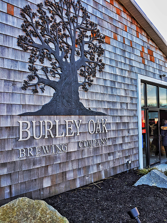 Burley Oak's weathered wood exterior and artistic tree logo hint at the craft brewing magic happening inside. Beer pilgrims, you've reached your destination.
