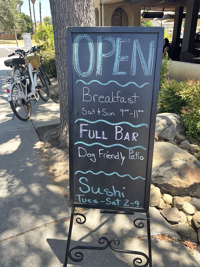 The chalkboard promises: breakfast, full bar, dog-friendly patio, and sushi. It's like they read my dream journal.
