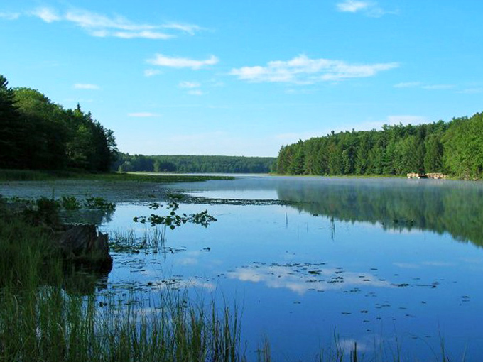 Dawn's misty embrace turns the lake into something otherworldly. Early risers at Black Moshannon receive nature's most exclusive show. 