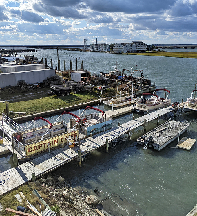 Captain Dan's boat tours promise adventures on the water, where dolphins, wildlife, and hidden island perspectives await just beyond the dock.
