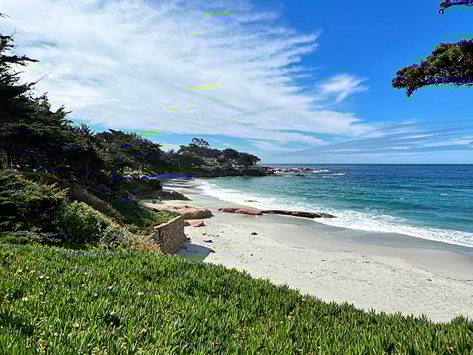 Nature's perfect balance of sand, sea, and cypress trees. If stress were a snowman, this view would be the sun.