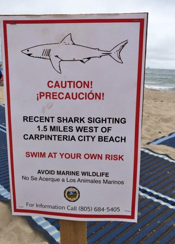 Safety reminders ensure your beach bliss stays blissful without any unwanted wildlife encounters.