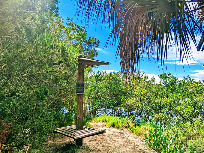 This nature trail marker stands as a humble sentinel, guiding explorers through Cedar Key's wild edges where civilization gracefully surrenders to nature.