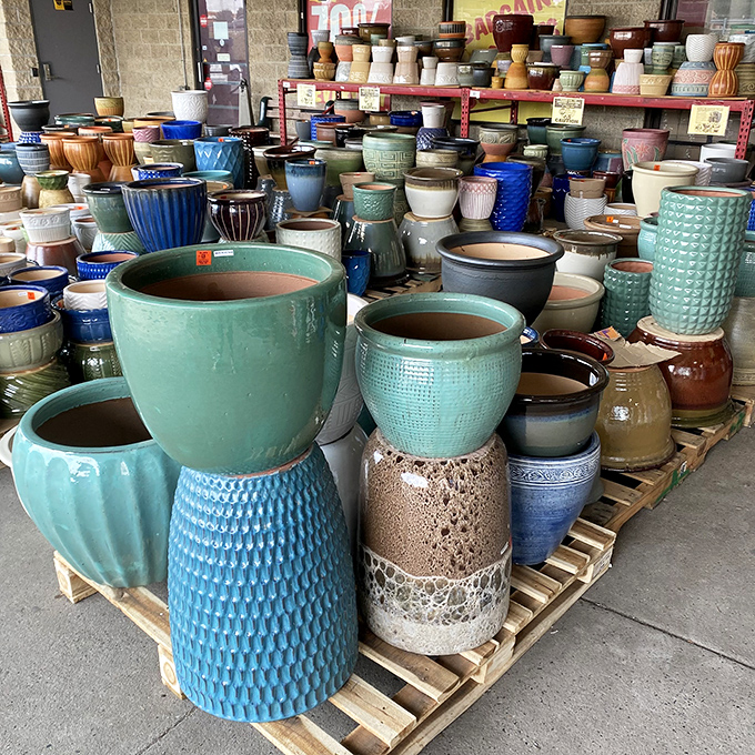 Ceramic pots in a rainbow of glazes&mdash;garden ambitions bloom brighter when you're saving enough to actually buy the plants too.