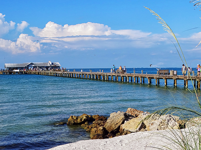 City Pier stretches into Tampa Bay like an invitation &ndash; come stroll above the water and see what the pelicans are so excited about.