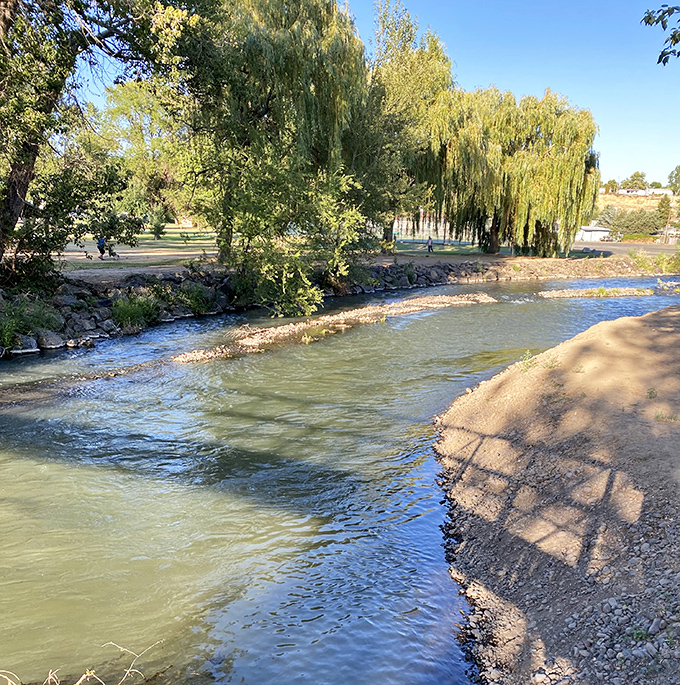 The Umatilla River flows gently past willow trees in this peaceful scene. Water that's sustained generations of Pendleton residents continues its timeless journey.