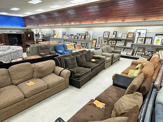 The couch lineup resembles a support group for comfortable seating&mdash;each with stories to tell and naps yet to host.