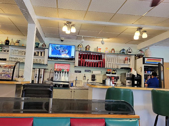 Counter seating: where solo diners become temporary family and the soda fountain hisses the soundtrack of American dining nostalgia.