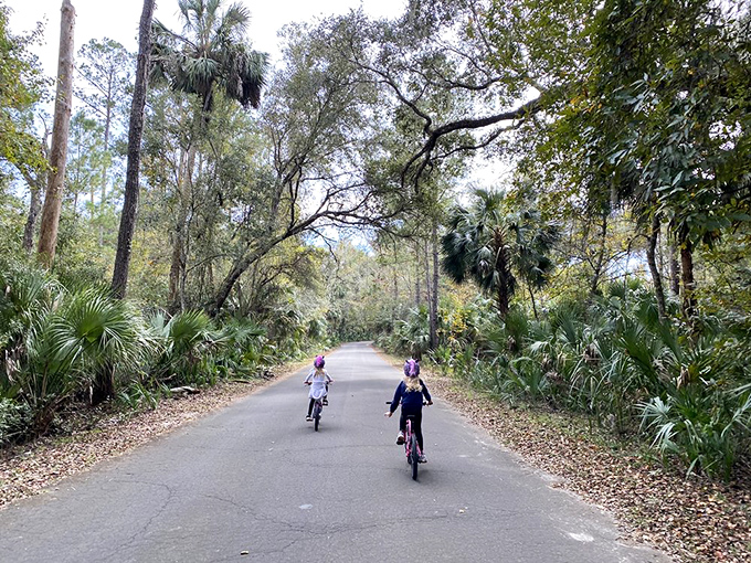 Two-wheeled exploration through tunnels of green, where every turn reveals another slice of Old Florida magic.