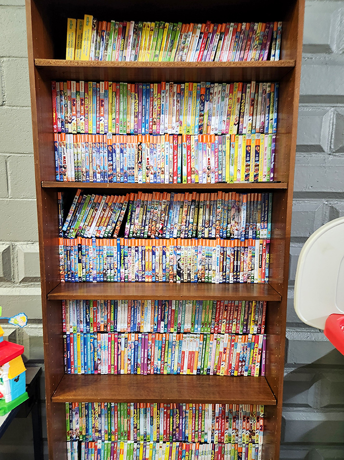 DVD heaven for movie buffs who still appreciate physical media. This colorful library of films offers entertainment by the shelf-load, no subscription required.