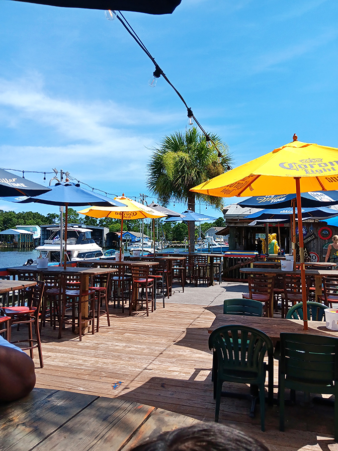 Sun-drenched deck dining with a marina view. Those colorful umbrellas aren't just for show&mdash;they're protecting precious cargo (your cold drinks).