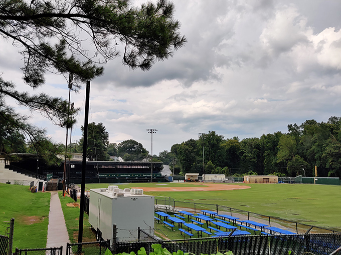 Duncan Park Stadium stands ready for America's pastime, where the crack of the bat and smell of popcorn create summer memories that outlast the season.