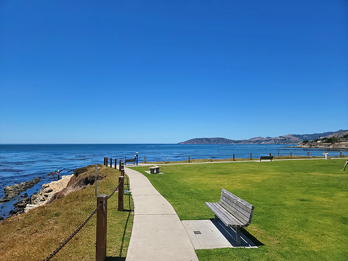 Eldwayen Ocean Park's winding paths and coastal overlooks offer the kind of views that make smartphone cameras feel woefully inadequate.
