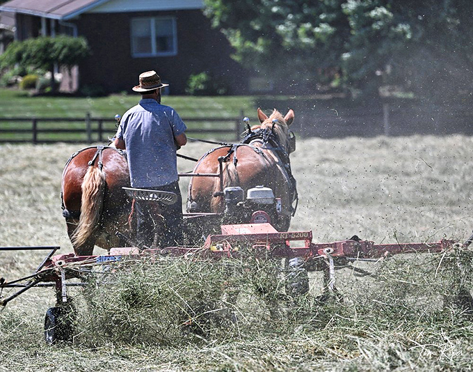 Farming the old way isn't just tradition&mdash;it's performance art. Two horses, one man, and acres of possibility.