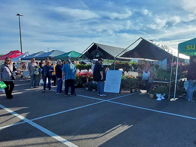 Local farmers markets showcase fresh produce and friendly faces that make grocery shopping a social event.