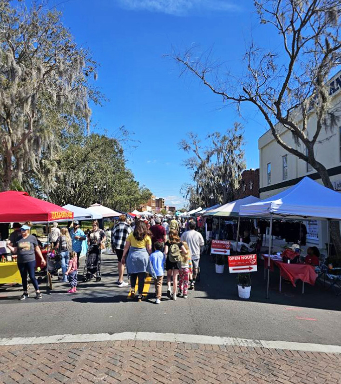 The Florida Azalea Festival transforms downtown into a vibrant marketplace where locals gather to celebrate spring, community, and the art of leisurely browsing.