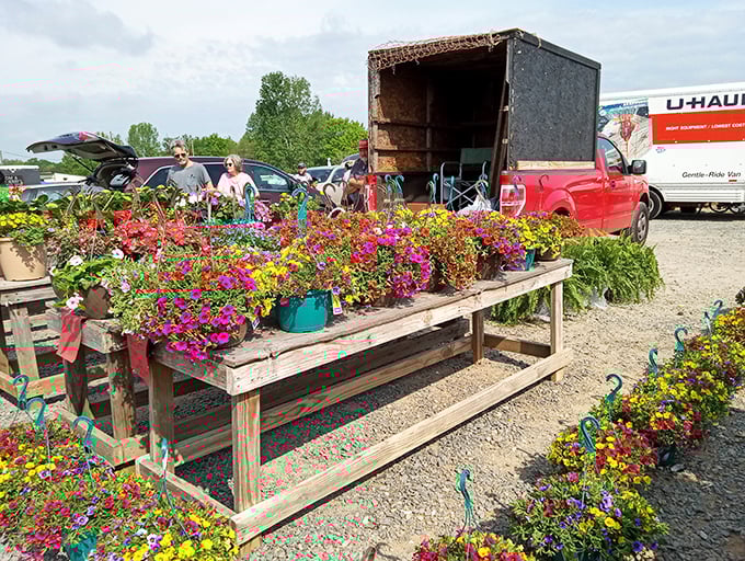 Spring explodes in technicolor at this plant vendor's stand, where hanging baskets and potted flowers promise to brighten any North Carolina porch.