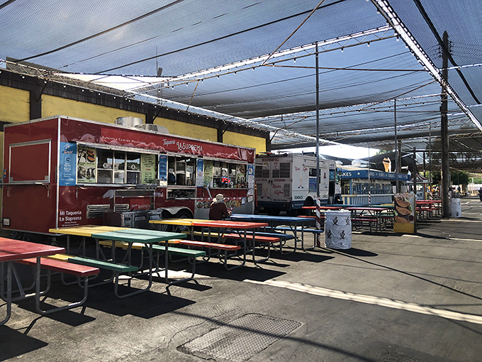 Food courts provide international flavors under one roof, turning lunch breaks into culinary adventures worth savoring completely.