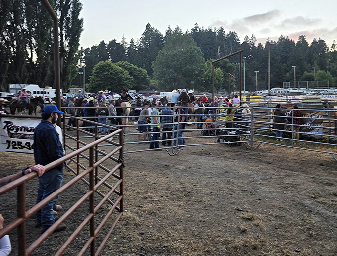 The Fortuna Rodeo brings real cowboys doing real cowboy things, no CGI or stunt doubles required here.