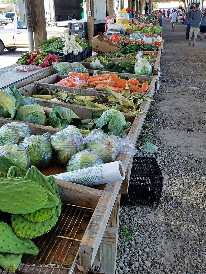 Garden-fresh vegetables create a rainbow of nutrition along wooden tables. From cabbage to cactus paddles, the produce section spans continents of cuisine.