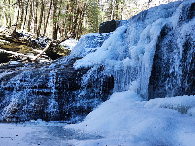 Winter's artistic collaboration with Freedom Falls creates sculptures Michelangelo would envy. Half-frozen cascades prove that Pennsylvania's cold season has serious creative chops. 