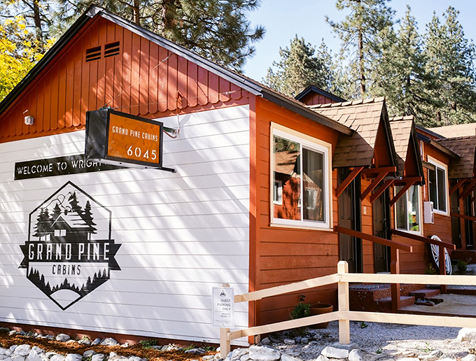 Grand Pine Cabins &ndash; where the welcome sign might as well read "Your blood pressure will drop 10 points upon check-in, guaranteed."