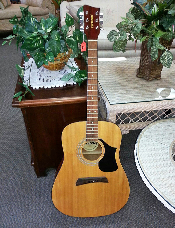 Acoustic guitars ready to serenade patios or become the centerpiece of impromptu family sing-alongs.