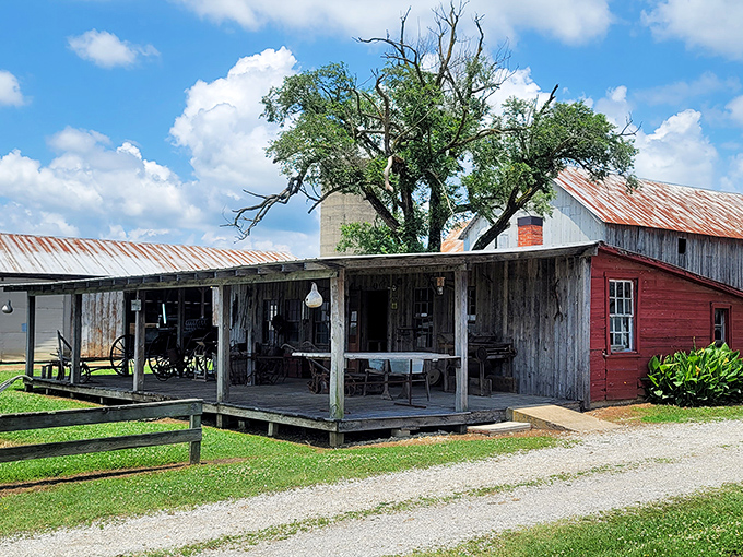 This rustic porch has witnessed more genuine conversations than a thousand coffee chains. No Wi-Fi password needed&mdash;just pull up a chair and talk.