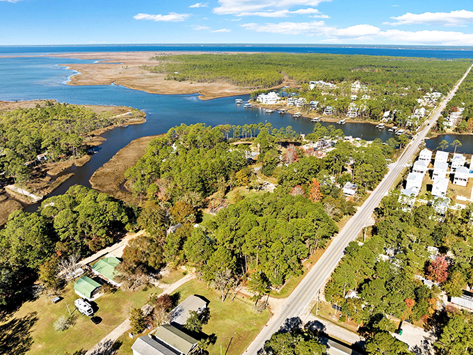 Nature's masterpiece: where forest meets water in a landscape so serene it could lower your blood pressure just by looking at it.