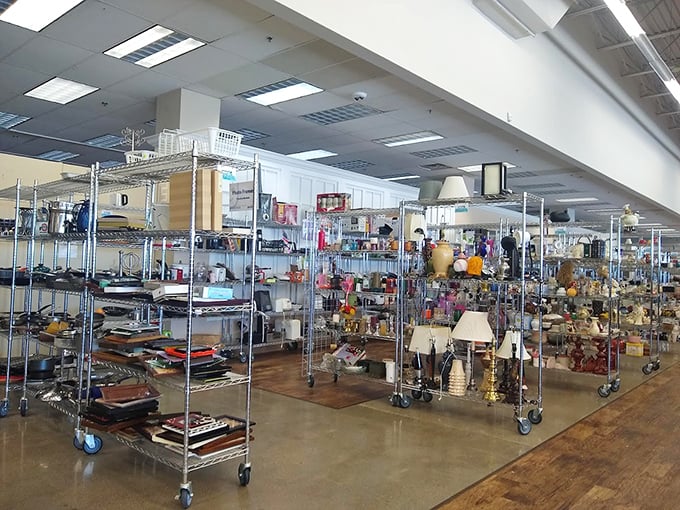 Home d&eacute;cor heaven! From lamps to picture frames, these items are ready to bring character to blank walls and empty corners.