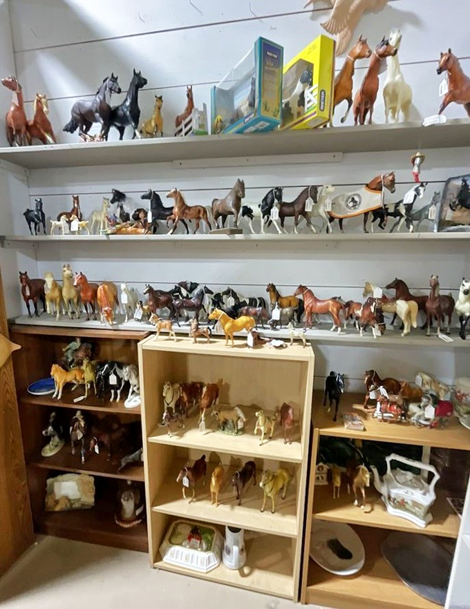 Horse figurines gallop across these shelves in a silent stampede of nostalgia. Every young equestrian's dream collection stands ready for adoption.