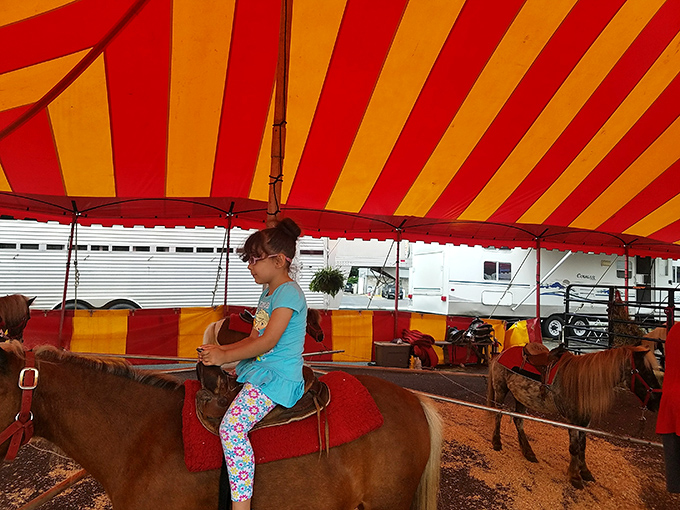 Wait, horseback riding? Just when you think you've seen it all, National Wholesale Liquidators throws you a curveball of unexpected fun.