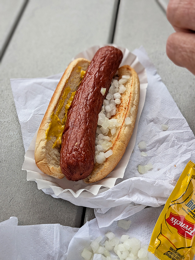 The hot dog arrives dressed in its Midwestern finest&mdash;yellow mustard, diced onions, and a perfectly steamed bun that cradles this American classic with dignity. 