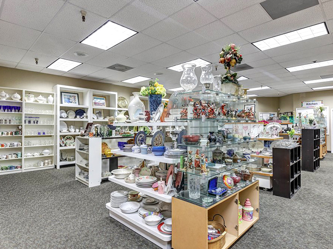 Dishware heaven! White plates, colorful bowls, and glassware for every occasion. Hosting Thanksgiving just got more affordable and eclectic.