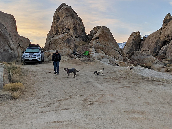 Four-legged hiking buddies making the most of their Alabama Hills adventure. Even the dogs seem to appreciate this geological wonderland.