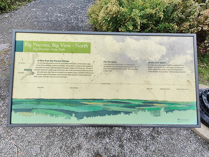 Educational signage that answers the eternal question: "What exactly am I looking at?" Knowledge enhances the already spectacular views.