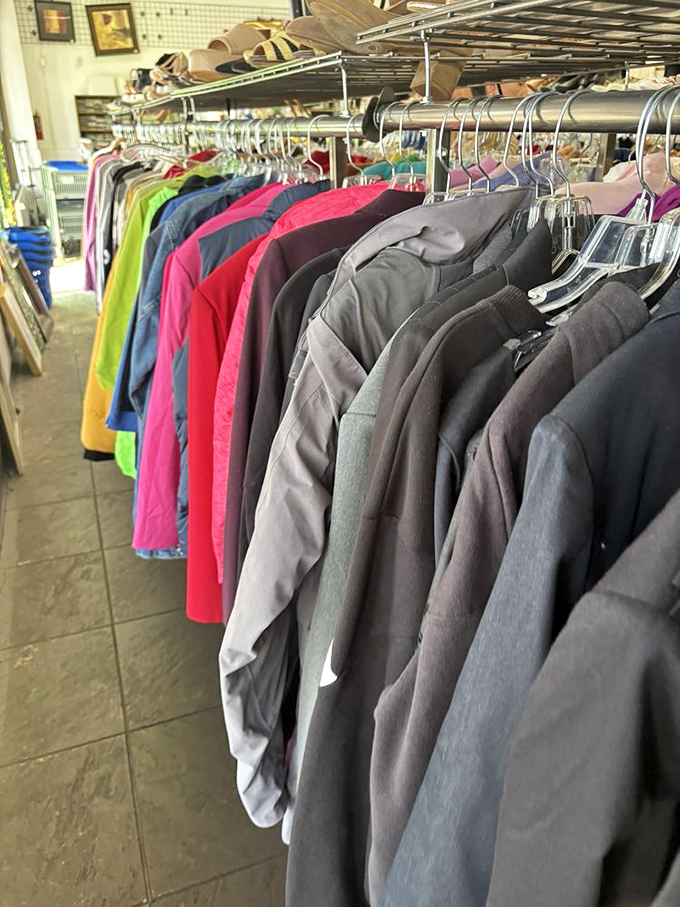 The jacket rainbow—where winter warmth meets color therapy, and your next favorite coat costs less than the dry cleaning bill.