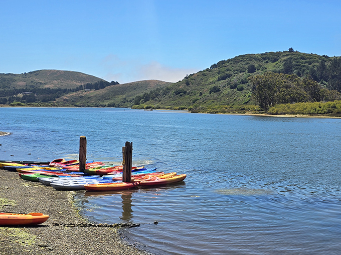Colorful kayaks lined up ready for adventures on California's spectacular inland waters.