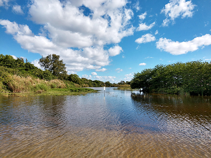 Lake Ida's natural beauty unfolds in layers of blue and green, where Florida's wild heart continues to beat just minutes from downtown.
